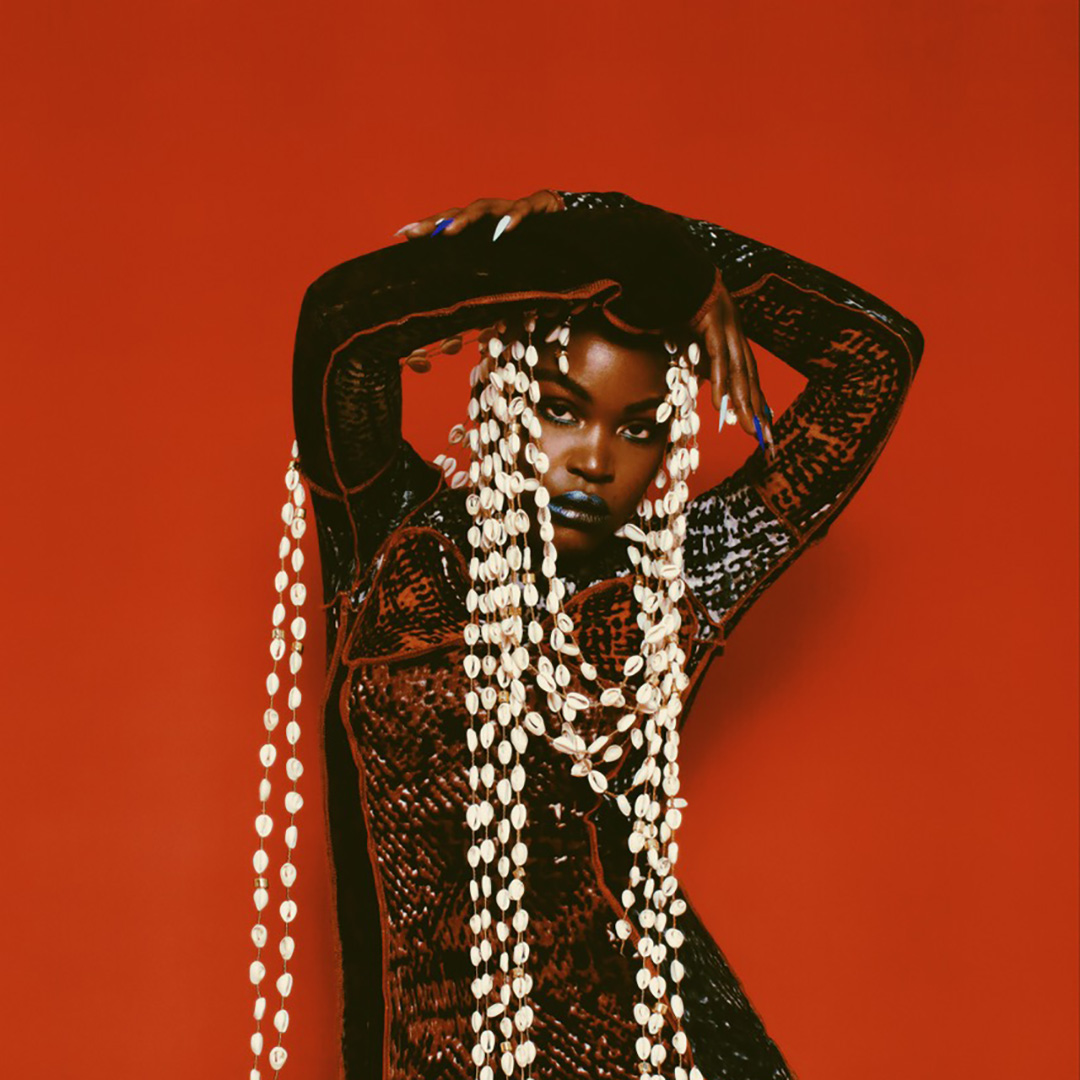 Pongo - Le Kabardock